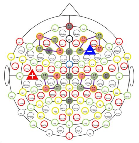 simultaneous eeg fnirs tdcs multimodal scanning and stimulation setup download scientific