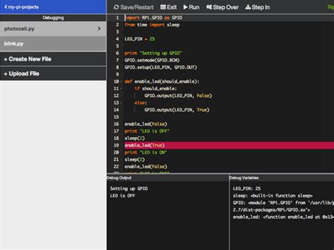 remote debug python raspberry pi raspberry