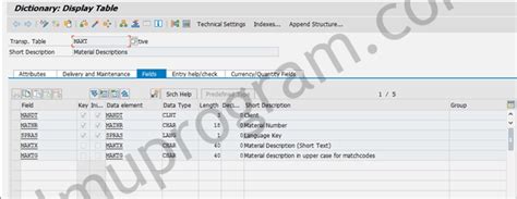 sap abap update table