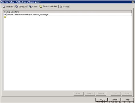 How To Configure NetBackup Policy To Backup VMware VMs Settlersoman
