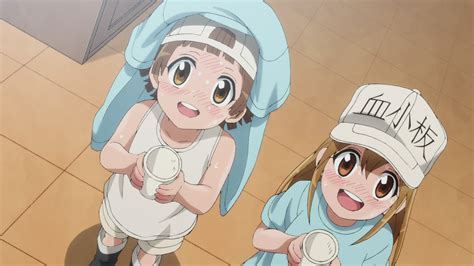 Watch Cells At Work Season 1 Episode 11 Sub And Dub Anime Uncut Funimation