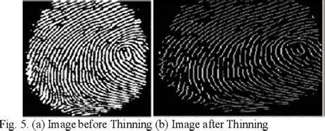 figure 3 from fingerprint recognition system using matlab semantic scholar