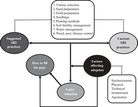 analytical framework download scientific diagram