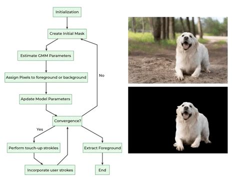 Image Segmentation With Mask R CNN GrabCut And OpenCV GeeksforGeeks