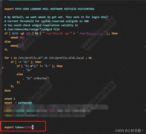 linux服务器 读写python环境变量 python识别linux环境变量 csdn博客