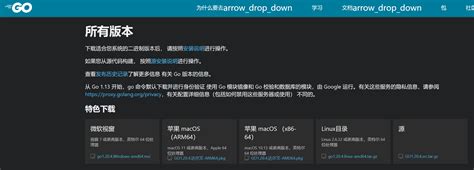 2023年最新无脑安装 go lang 环境配置并编写、运行、打包第一个 golang 程序详细步骤，附带图文教程 golang install csdn博客