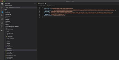 Setup A Next JS Static Site Using Cloud CMS Gitana