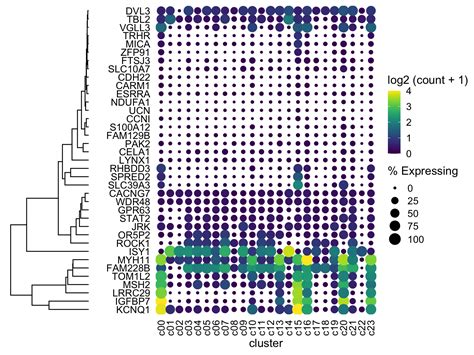 Let S Plot Clustered Dot Plots In The Ggverse Eye Bioinformatician
