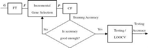 figure 1 from a multiple filter multiple wrapper approach to gene selection and microarray data