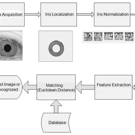 flowchart of iris recognition system using feature extraction from download scientific diagram