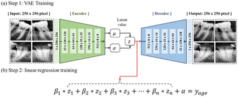 structure of and training method for the variational autoencoder and download scientific
