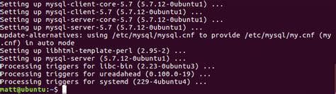 Как установить и использовать mysql в ubuntu 16 04