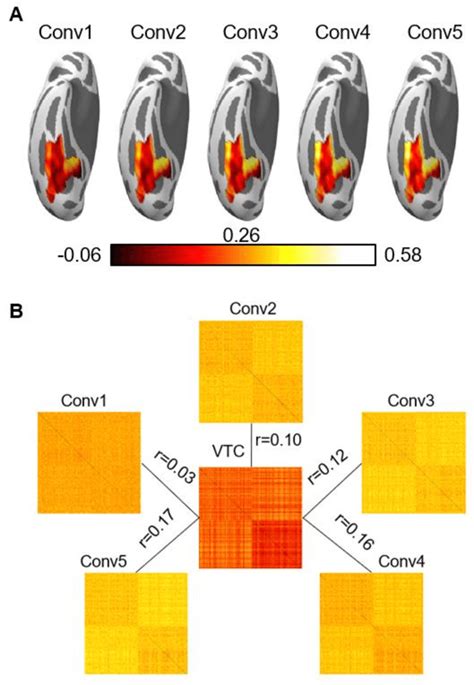 both the encoding model and the representational similarity analysis download scientific diagram