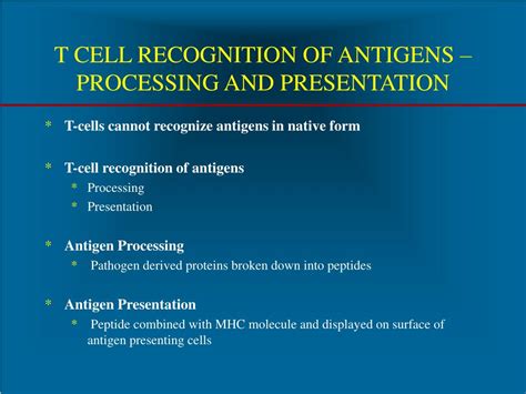 Ppt Antigen Recognition By T Lymphocytes Powerpoint Presentation Free Download Id158034