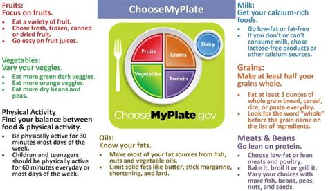 Myplate What A Healthy Meal Looks Like Nutrition Nutrition Facts Label Nutrition Tips