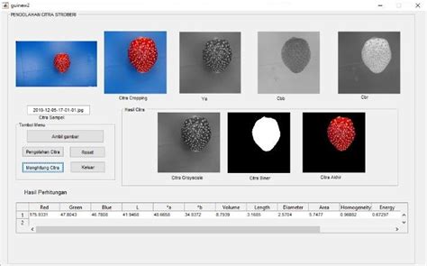 graphical user interface gui for image processing from matlab from download scientific