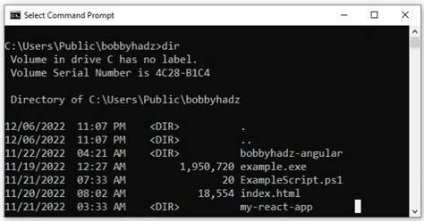 How To Use The Equivalent Of The Ls Command In Windows The Tech