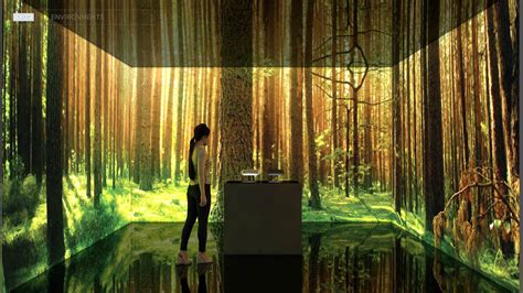 virtual reality environment
