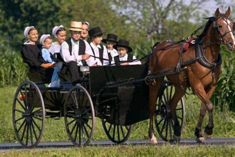 38 Beliefs And Ways Of Life The Amish Strictly Follow History Collection