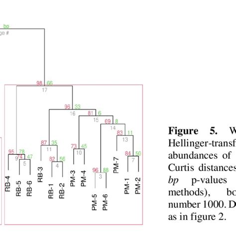 hierarchical clustering according to the wards method а download scientific diagram