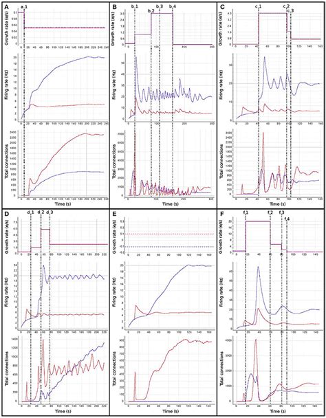 frontiers toward rigorous parameterization of underconstrained neural network models through