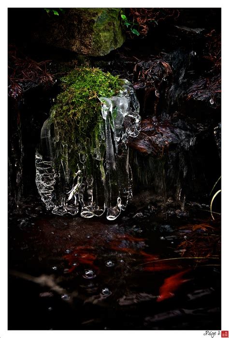 Day 327 Icy Waters 327 365 November 23 2010 Bit Of Flickr