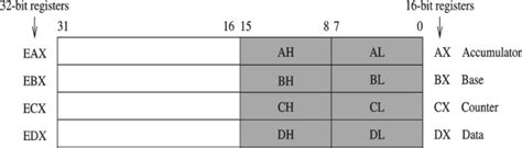 introduction to x86 assembly language