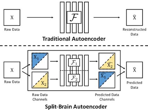 image classification using split brain autoencoder data science portfolio