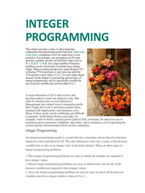 integer programming pdf business