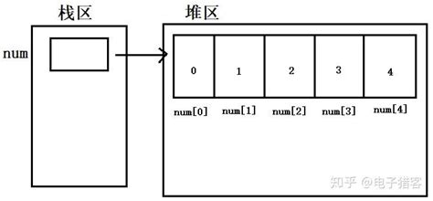 搞懂c语言动态分配内存给一维数组和二维数组 知乎