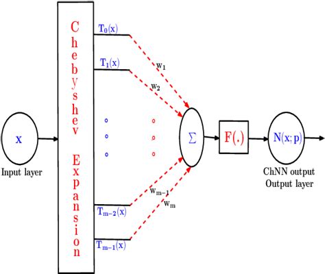 structure of single layer chebyshev neural network download scientific diagram