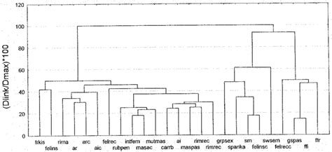 tree diagram for 25 sexual techniques single linkage euclidean download scientific diagram