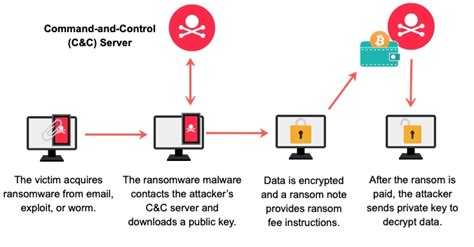 how does ransomware work extrahop
