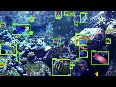 object detection projects using yolov5 yolov7 yolov8 60 off