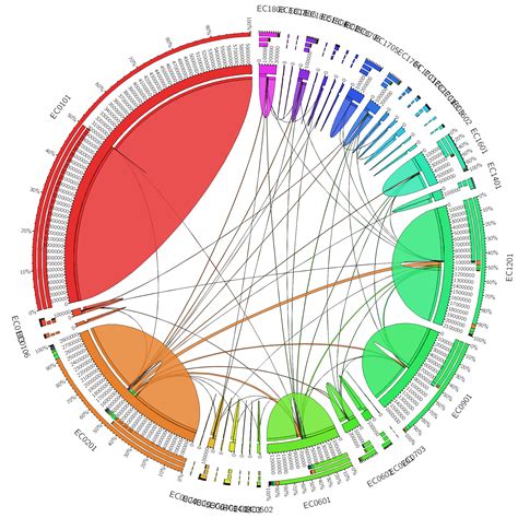 Circos Table Viewer Circular Visualization Of Tabular Data With
