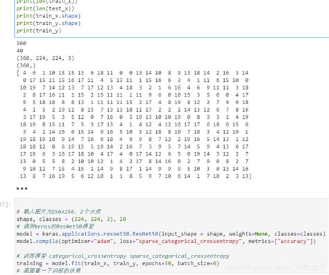 python常见错误类型 model encode函数报错found dtype int but expected float CSDN博客