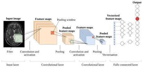 architecture of convolutional neural network using medical image [8] download scientific diagram