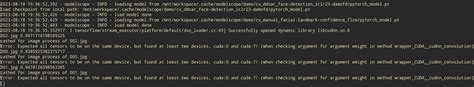 error expected all tensors to be on the same device but found at least two devices · issue