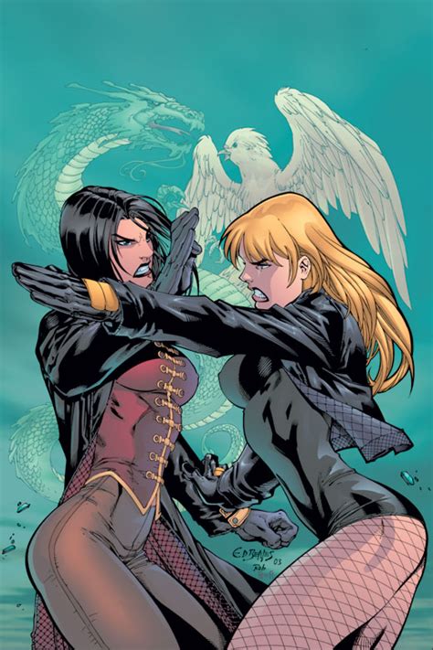 Birds Of Prey 63 Comic Art Community Gallery Of Comic Art