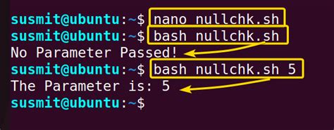 How To Use Bash Input Parameter 5 Practical Cases