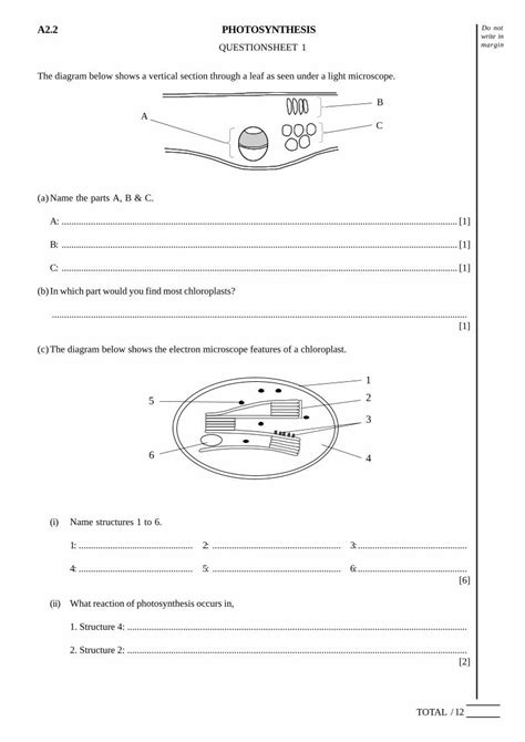 PDF PHOTOSYNTHESIS Do Not PDF File Distinguish Between