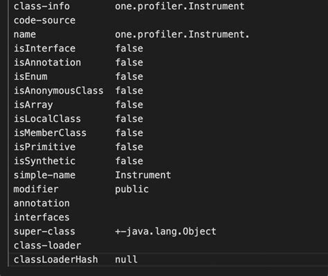 Java Lang NoClassDefFoundError One Profiler Instrument Occurs When