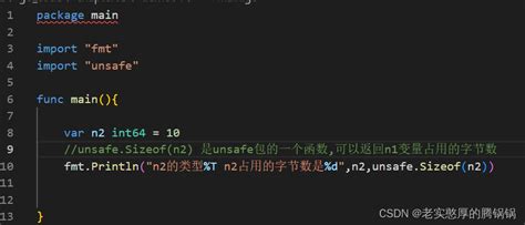 golang中变量的数据类型 golang打印变量类型 csdn博客