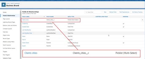 Custom Picklist And Multi Select Picklist In Salesforce SalesForce FAQs