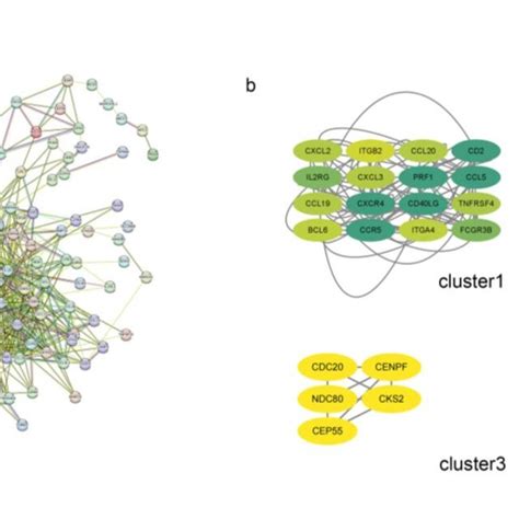 a visualisation of protein protein interaction ppi network based on download scientific
