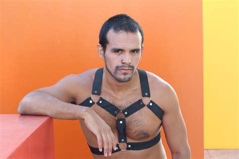 Six Best Gay Bathhouses In The Usa With Sex Slings Daily Squirt