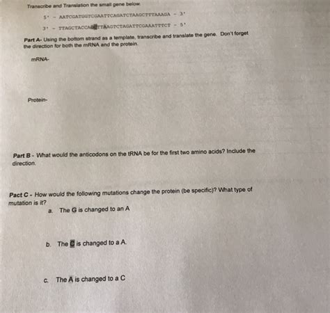 solved transcribe and translation the small gene below 5