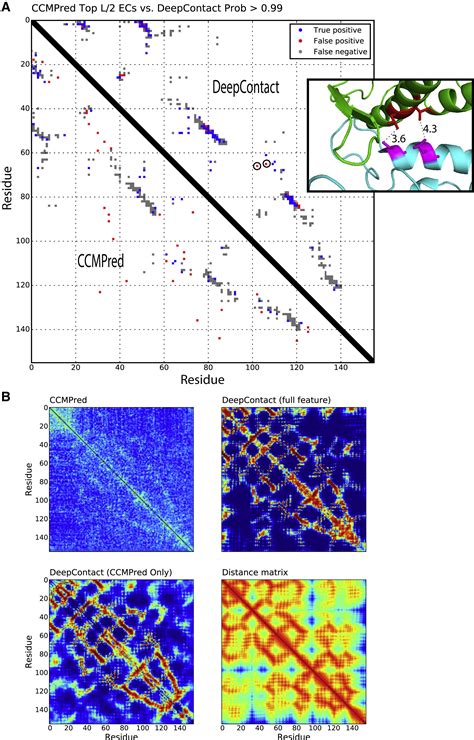 enhancing evolutionary couplings with deep convolutional neural networks cell systems