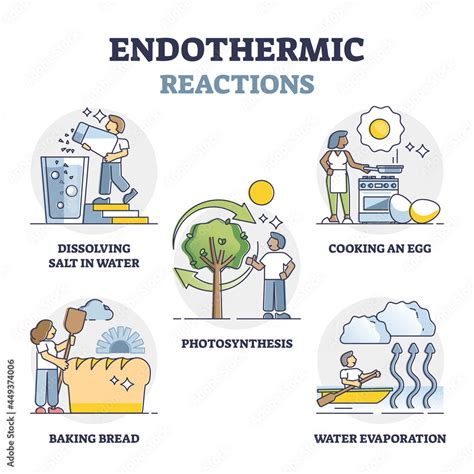 Endothermic Reactions List With External Energy Outline Collection Set