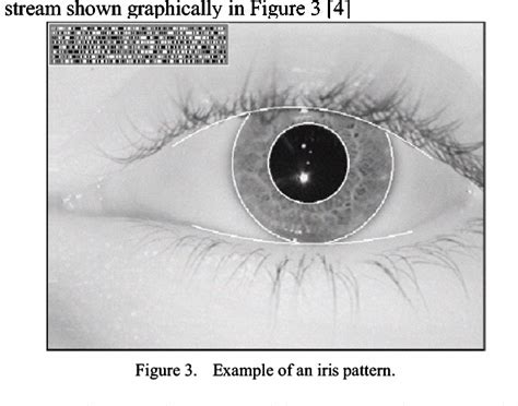 figure 2 from the comparison of iris recognition using principal component analysis independent